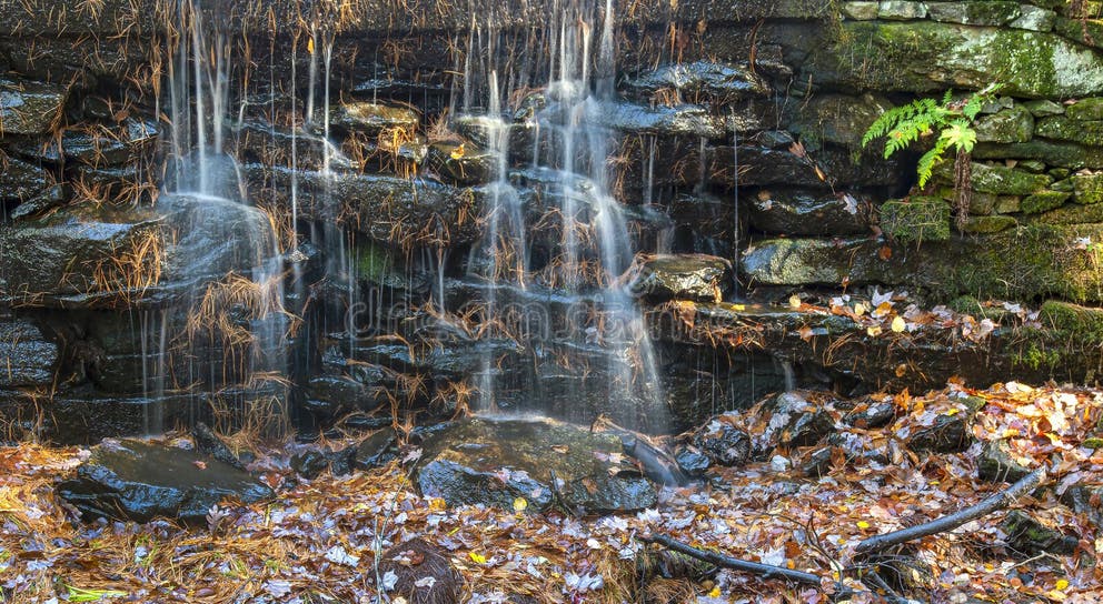 Water Cascading Over a Small Water Fall Stock Photo - Image of branches ...