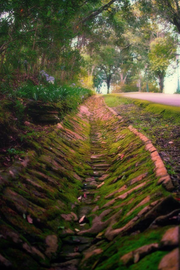 Water Channel Down the Hill and Moss beside the Road Stock Photo ...