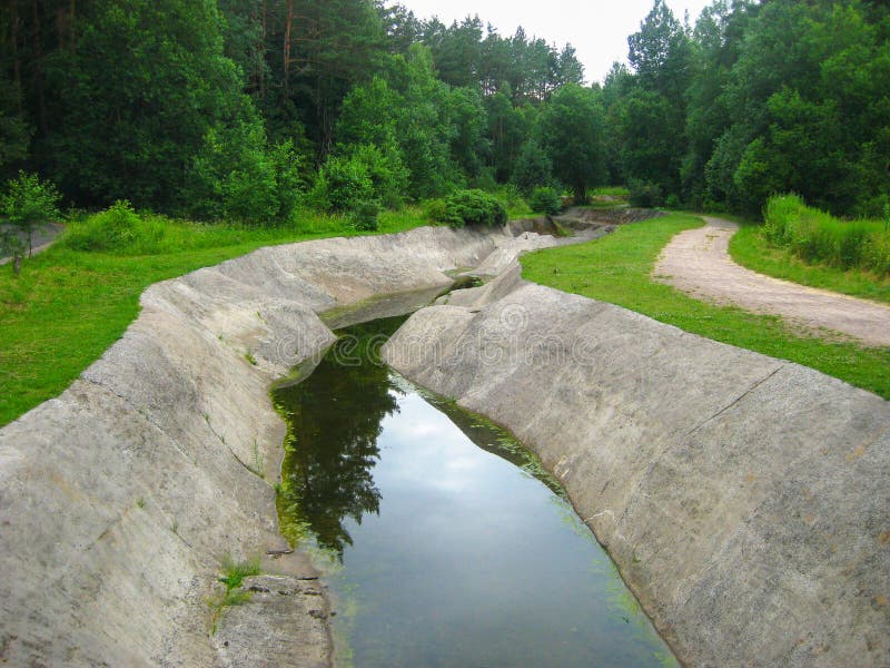 A Water Channel in the Forest Stock Photo - Image of vegetation, scenic ...
