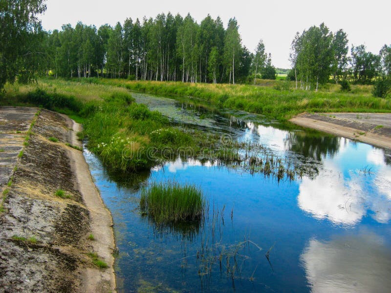 A Water Channel in the Forest Stock Image - Image of forest, quiet ...