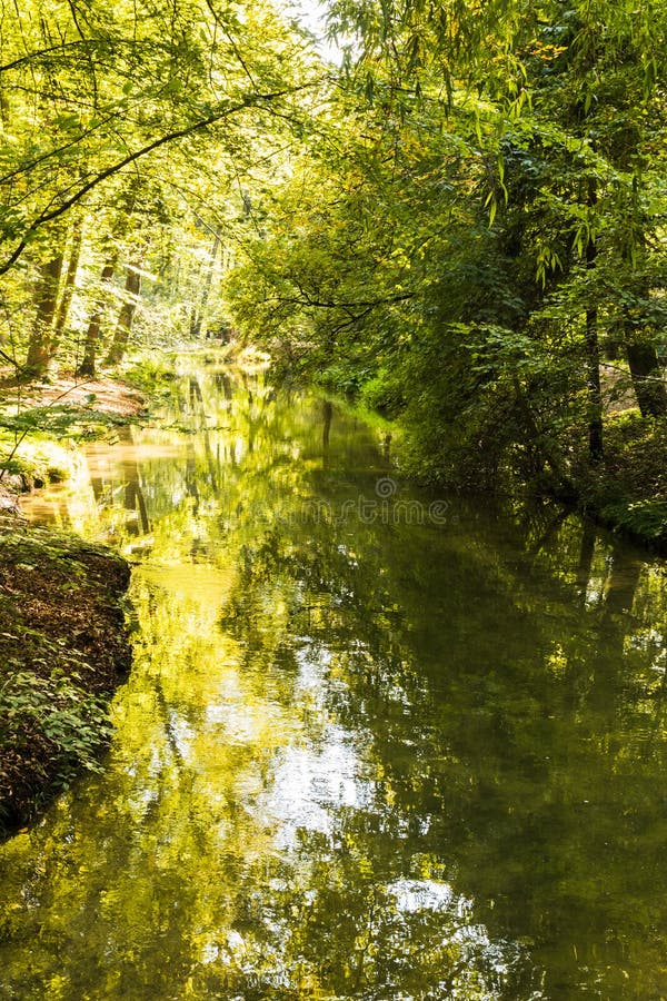Water Channel through Forest in Autumn Stock Image - Image of scene ...