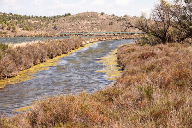 Water channel in grass stock image. Image of grass, beautiful - 278472355