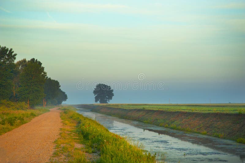 Water Channel, Road, Forest, Trees and Fog Stock Image - Image of ...