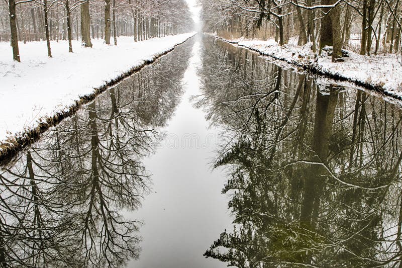 Water Channel through Snowy Forest Stock Photo - Image of trees ...