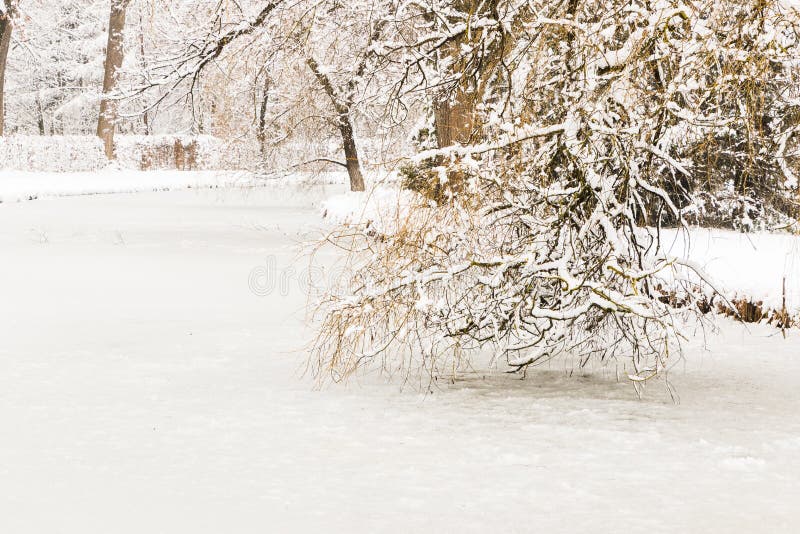 Water Channel through Snowy Forest Stock Photo - Image of scenic ...