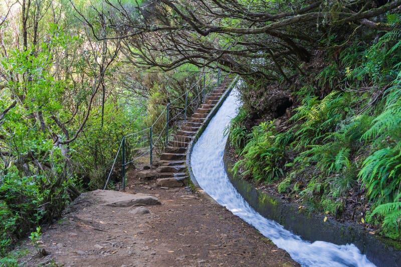 Water Channel System Called Levada Stock Photo - Image of hiking ...