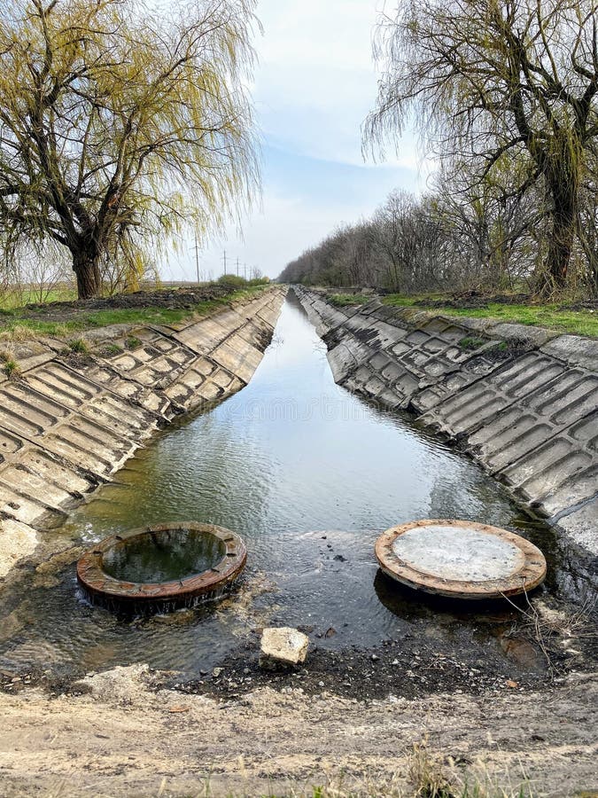 Water Channel with Trees on the Banks Green Grass Willows Stock Photo ...