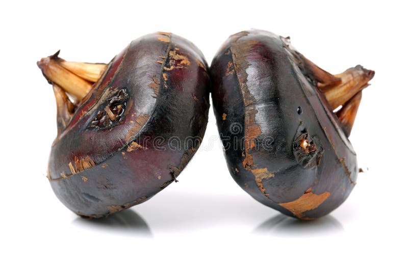 Fresh water chestnut stock photo. Image of delicious - 112717074