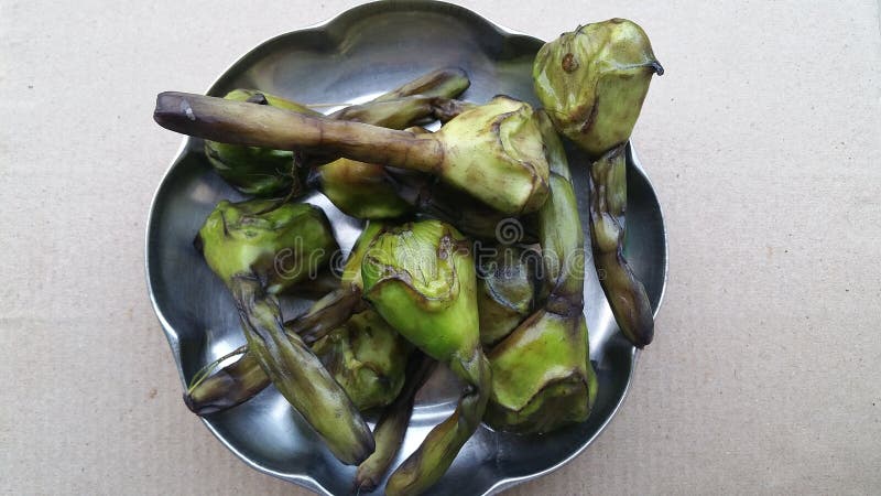 Apulid Stock Photos - Free & Royalty-Free Stock Photos from Dreamstime