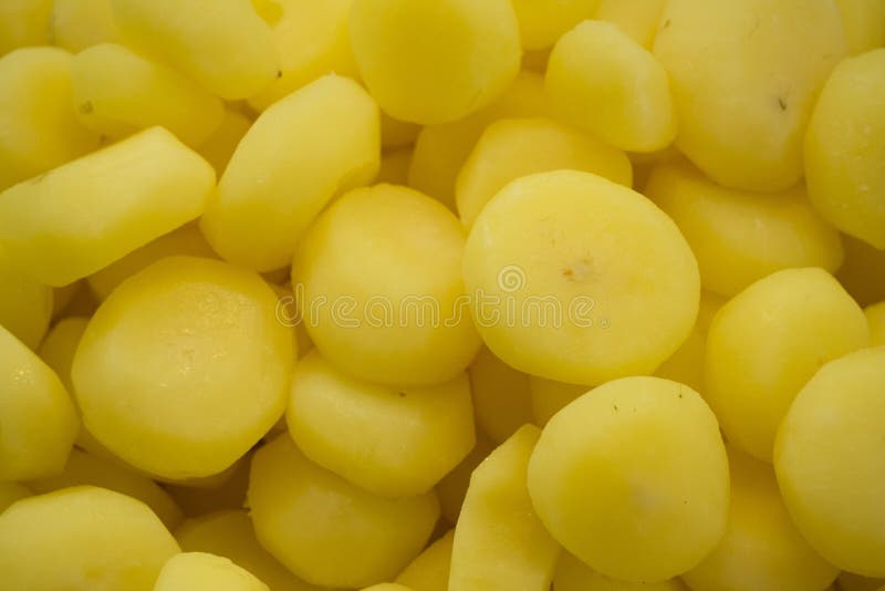 Water Chestnut or Water Nut in Local Market Stock Photo - Image of ...