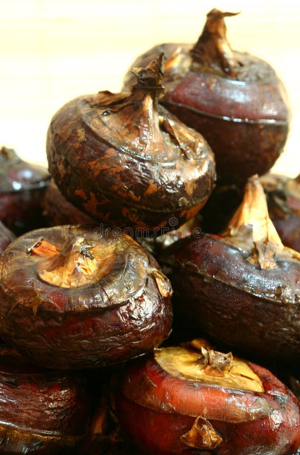 Water Chestnuts stock image. Image of root, sweet, cool - 13198325