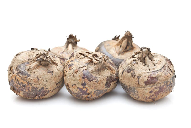 Water chestnuts stock photo. Image of hull, round, chestnut - 23980232