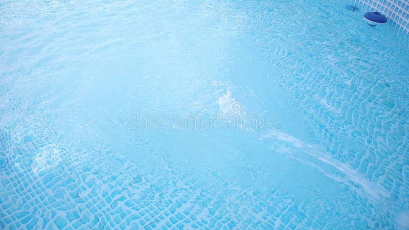 Water Circulation in a Small Home Aquarium Stock Footage - Video of ...