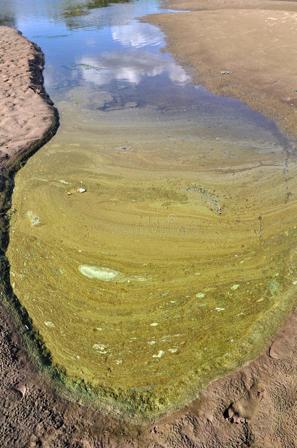 Water coated with sludge stock photo. Image of cloud - 26006690