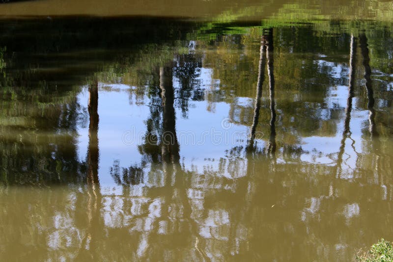 Shallow water reflections stock image. Image of reflections - 137823259