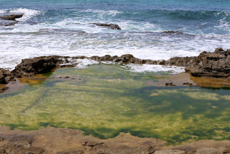 Shallow water color stock photo. Image of wind, waves - 144799366