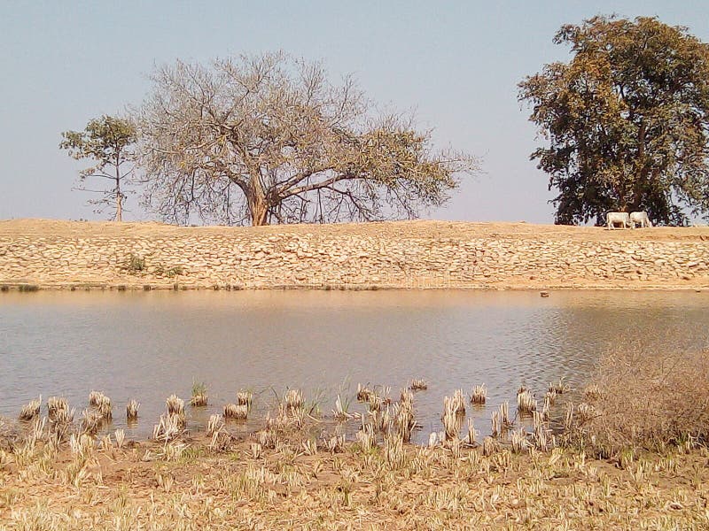 Water Colour Beautiful Good Achcha Field Stock Photo - Image of achcha ...