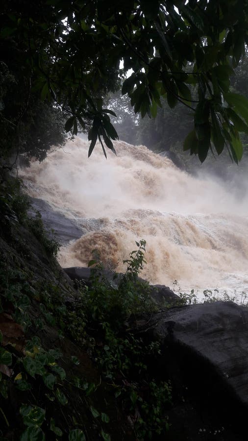 Water Comes Fast in a Wide Area Stock Image - Image of water, wide ...
