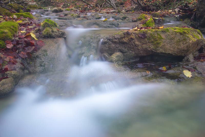 Water coming down stock photo. Image of forest, fall - 65556004