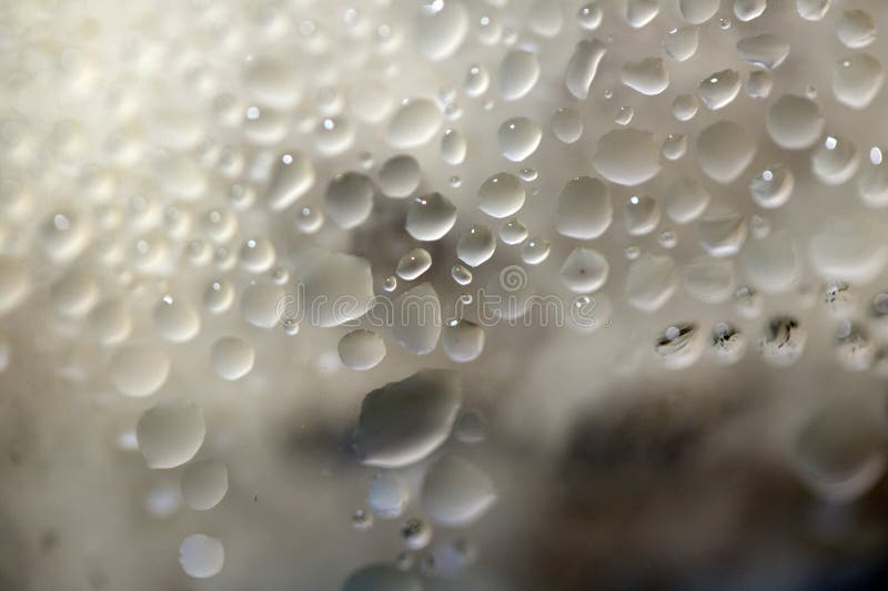 Water Condensation Small Bubbles Moisture on a Glass Window Close Up ...