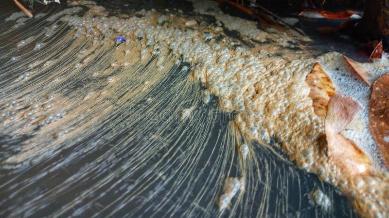 Water Contaminated with Bacteria. Bacteria Water Stock Photo - Image of ...