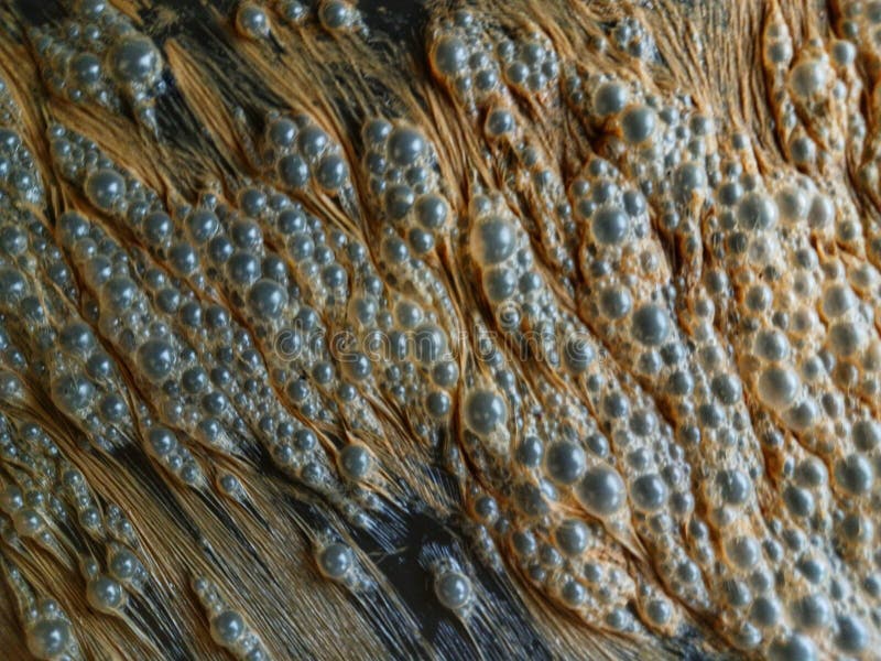 Water Contaminated with Bacteria. Bacteria Water Stock Image - Image of ...