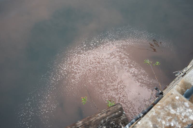 Water Contamination Problem Stock Image - Image of colored, harbour ...