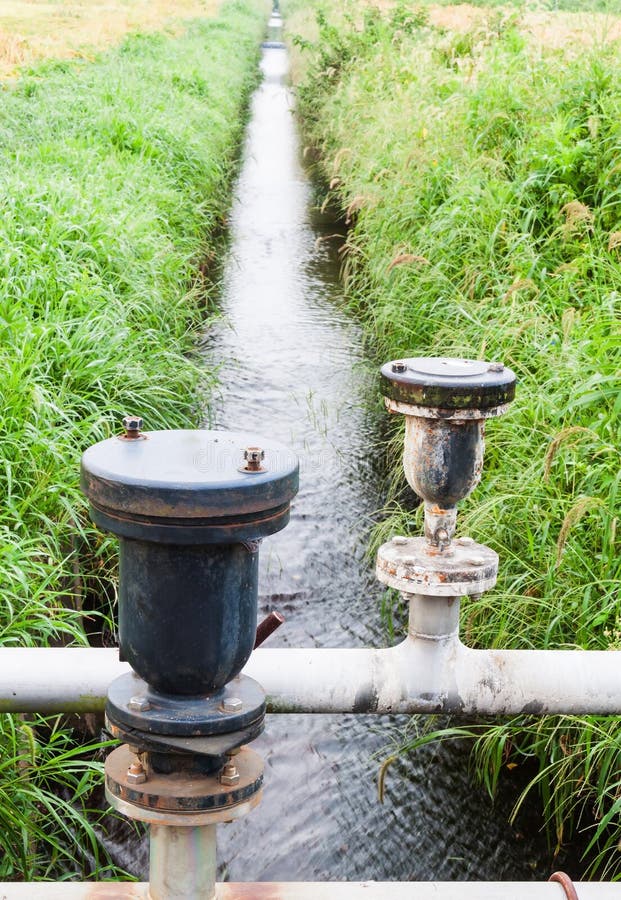 Water Control in Rice Field Stock Photo - Image of crop, staple: 30193614