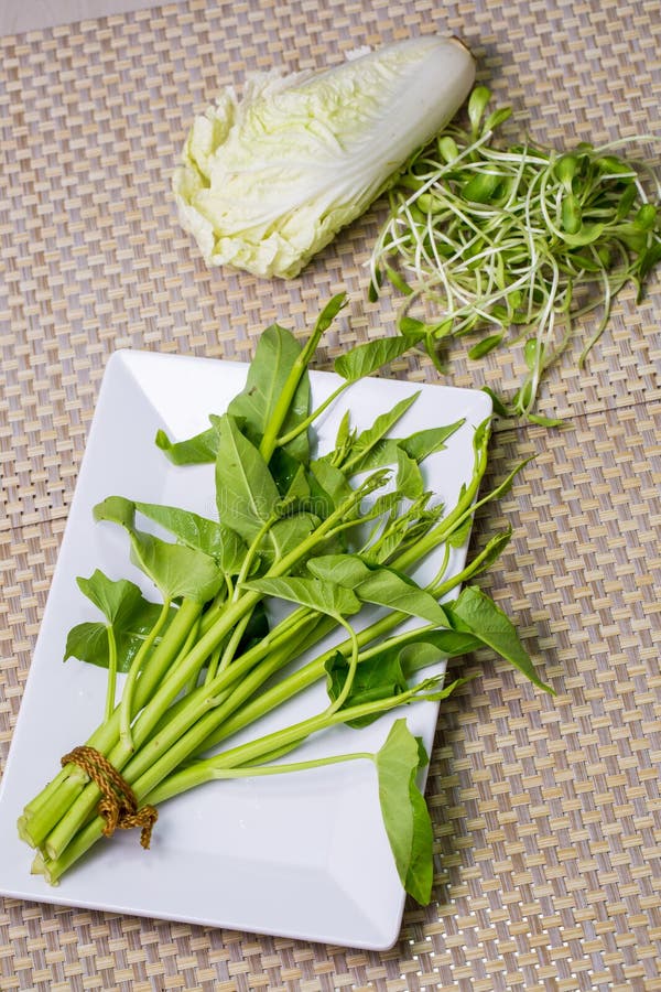 697 Water Convolvulus Photos - Free & Royalty-Free Stock Photos from ...