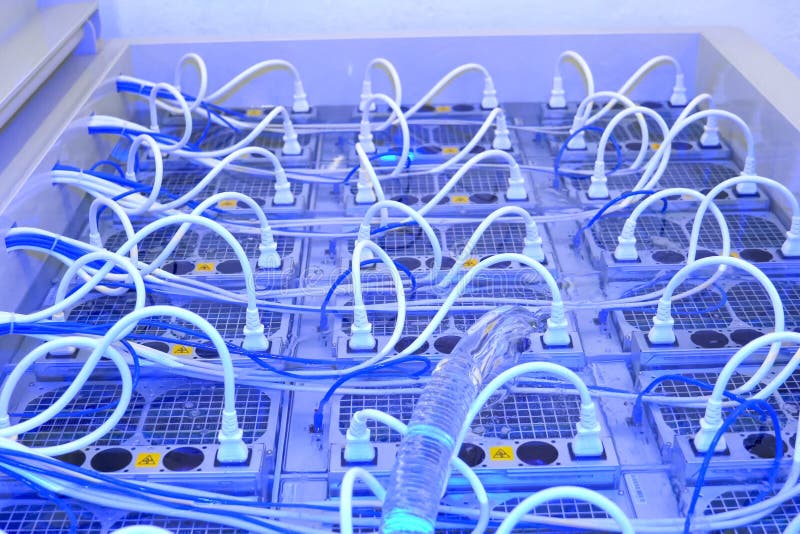 Water Cooling of Mining Farm, Equipment in Liquid Stock Image - Image ...