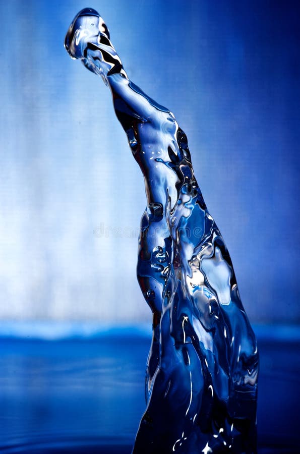 Water Creature Picture. Image: 4915708