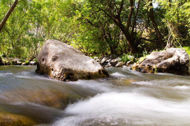 Water in a Creek in the Nature Stock Photo - Image of spring, nature ...