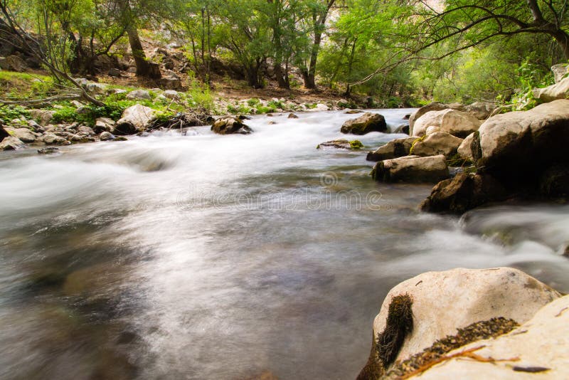 Water in a Creek in the Nature Stock Image - Image of river, green ...