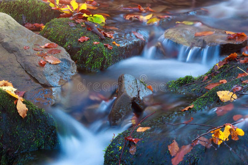 Water Creek Stream in Autumn. Closeup with Long Exposure Effect Stock ...
