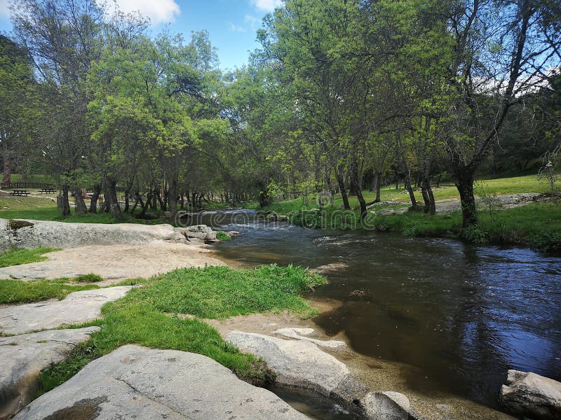 Water Creek in the Woods in Spring Stock Image - Image of creek, motion ...