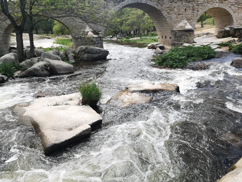 Water Creek in the Woods in Spring Stock Photo - Image of sierra ...