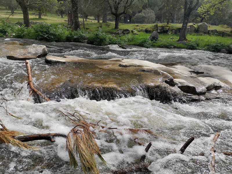 Water Creek in the Woods in Spring Stock Photo - Image of outdoors ...