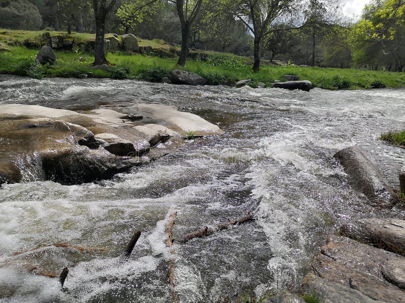 Water Creek in the Woods in Spring Stock Photo - Image of reflection ...