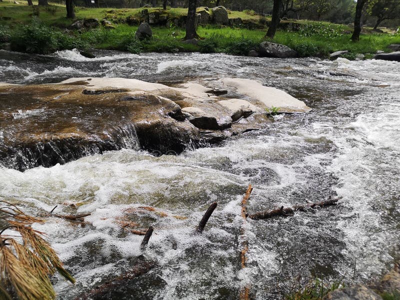 Water Creek in the Woods in Spring Stock Image - Image of creek ...