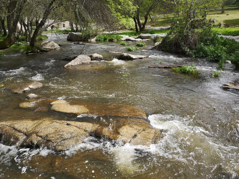 Water Creek in the Woods in Spring Stock Image - Image of scenics ...