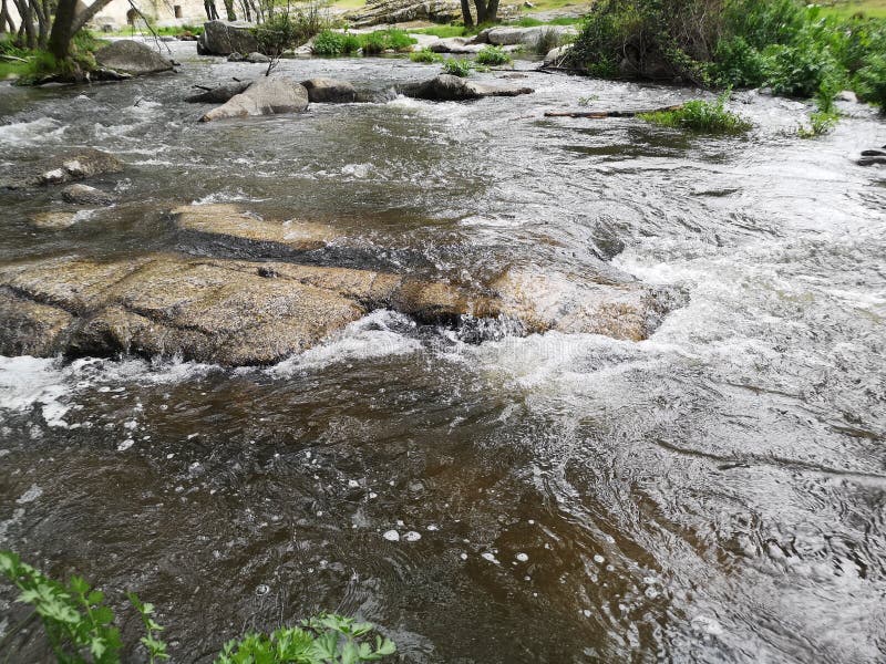 Water Creek in the Woods in Spring Stock Image - Image of flowing ...