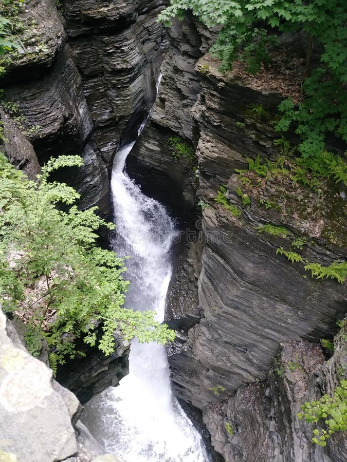 Water Crevus Stock Photos - Free & Royalty-Free Stock Photos from ...