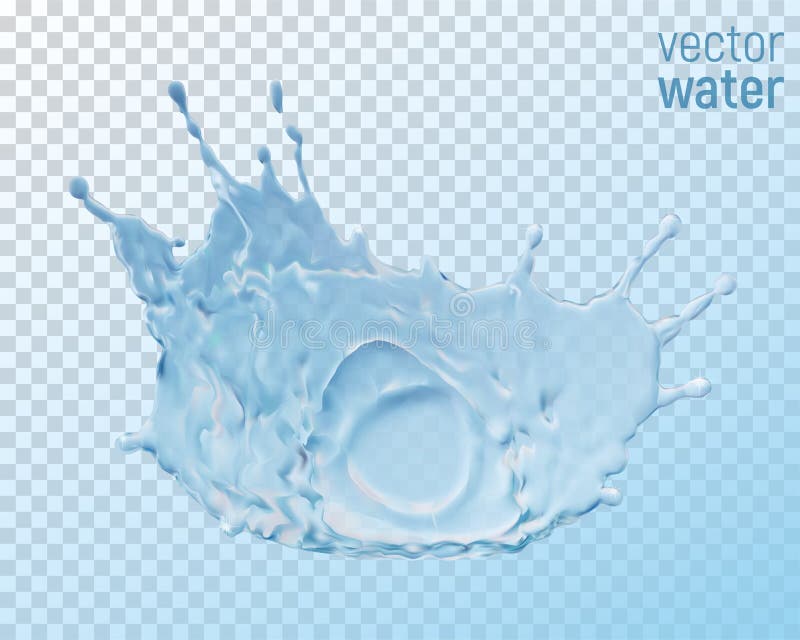 Water Crown Splash, Isolated on Transparent Background. Stock Vector ...