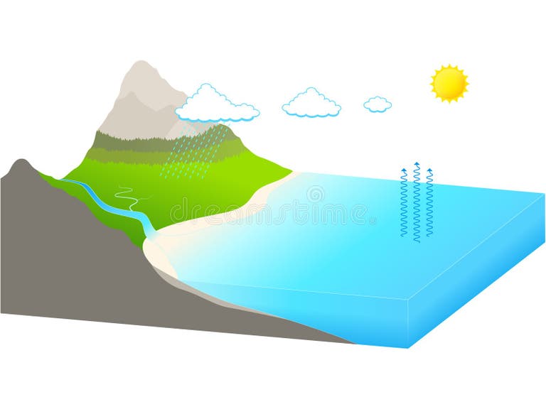 Estuary Stock Illustrations – 4,564 Estuary Stock Illustrations ...