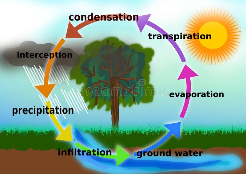 Condensation Science