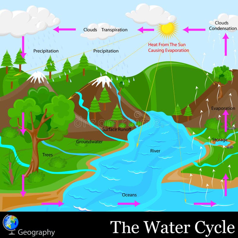 Water cycle stock illustration. Illustration of cycle - 38776414