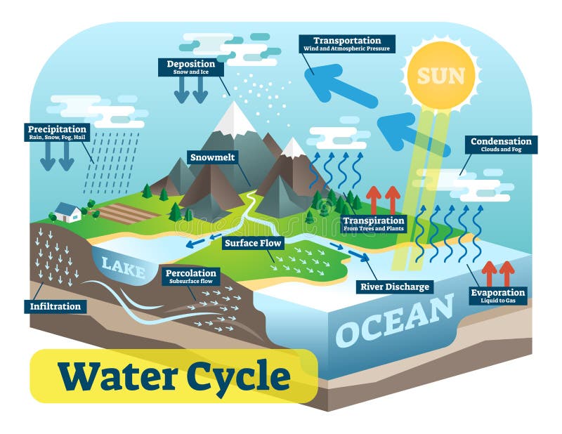 Water Cycle Black and White Stock Vector - Illustration of diagram ... Water Cycle Black and White Stock Vector - Illustration of diagram ...