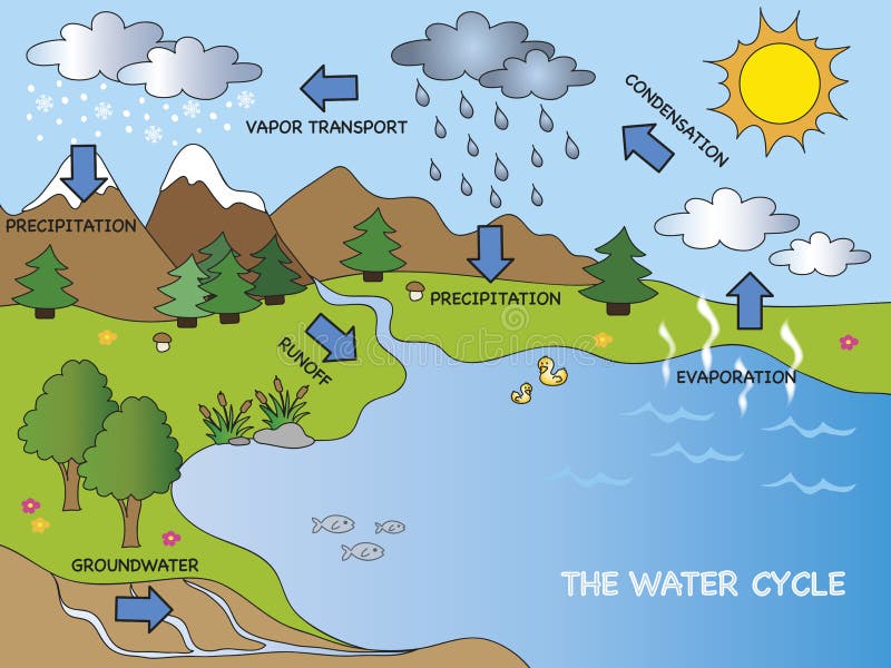 Water Cycle Black and White Stock Vector - Illustration of diagram ... Water Cycle Black and White Stock Vector - Illustration of diagram ...