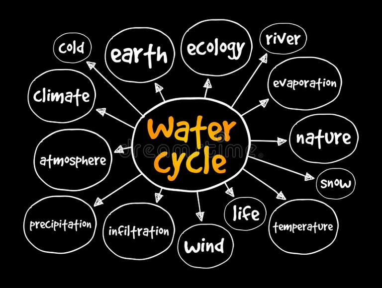 Water Cycle Mind Map Stock Illustrations – 10 Water Cycle Mind Map ...