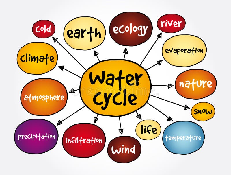Water Cycle Mind Map Stock Illustrations – 10 Water Cycle Mind Map ...